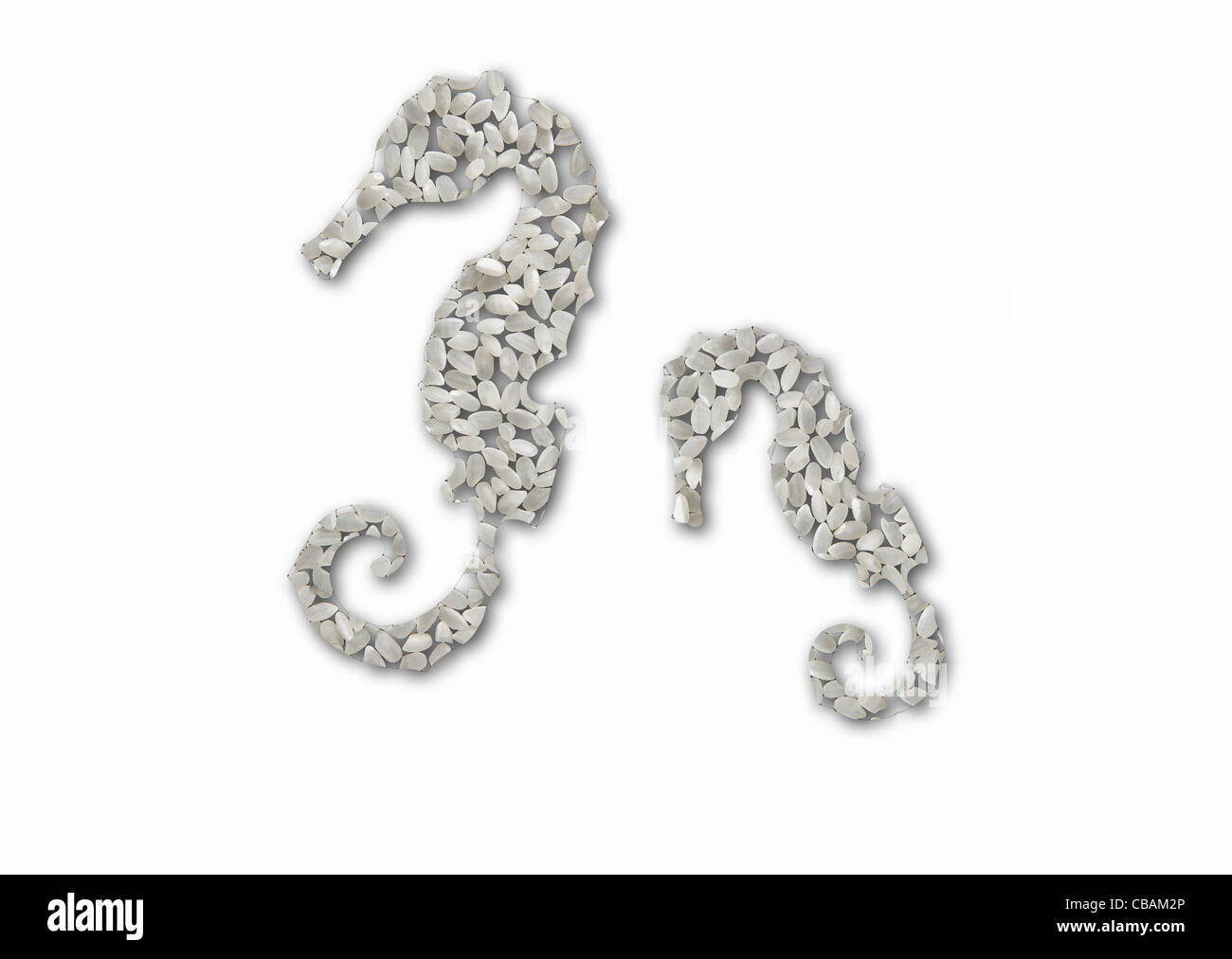 Seahorse family of rice Stock Photo - Alamy