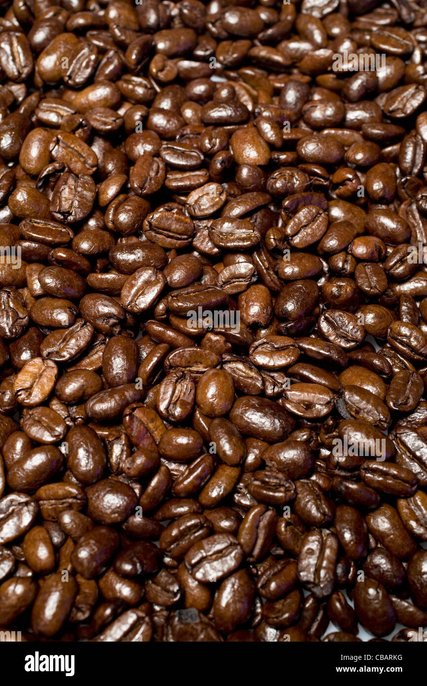 Close Up of Roasted Arabica Coffee Beans Stock Photo - Alamy