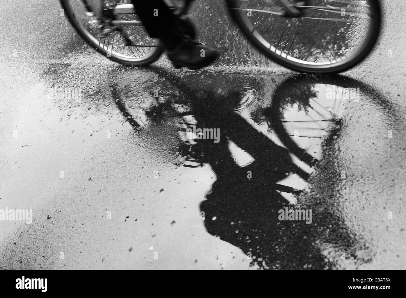 Cyclist reflected in puddle in the rain Stock Photo - Alamy