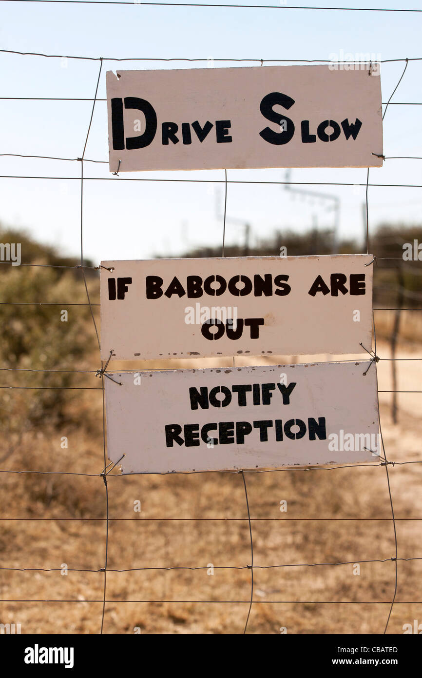 Baboon sign hi-res stock photography and images - Alamy