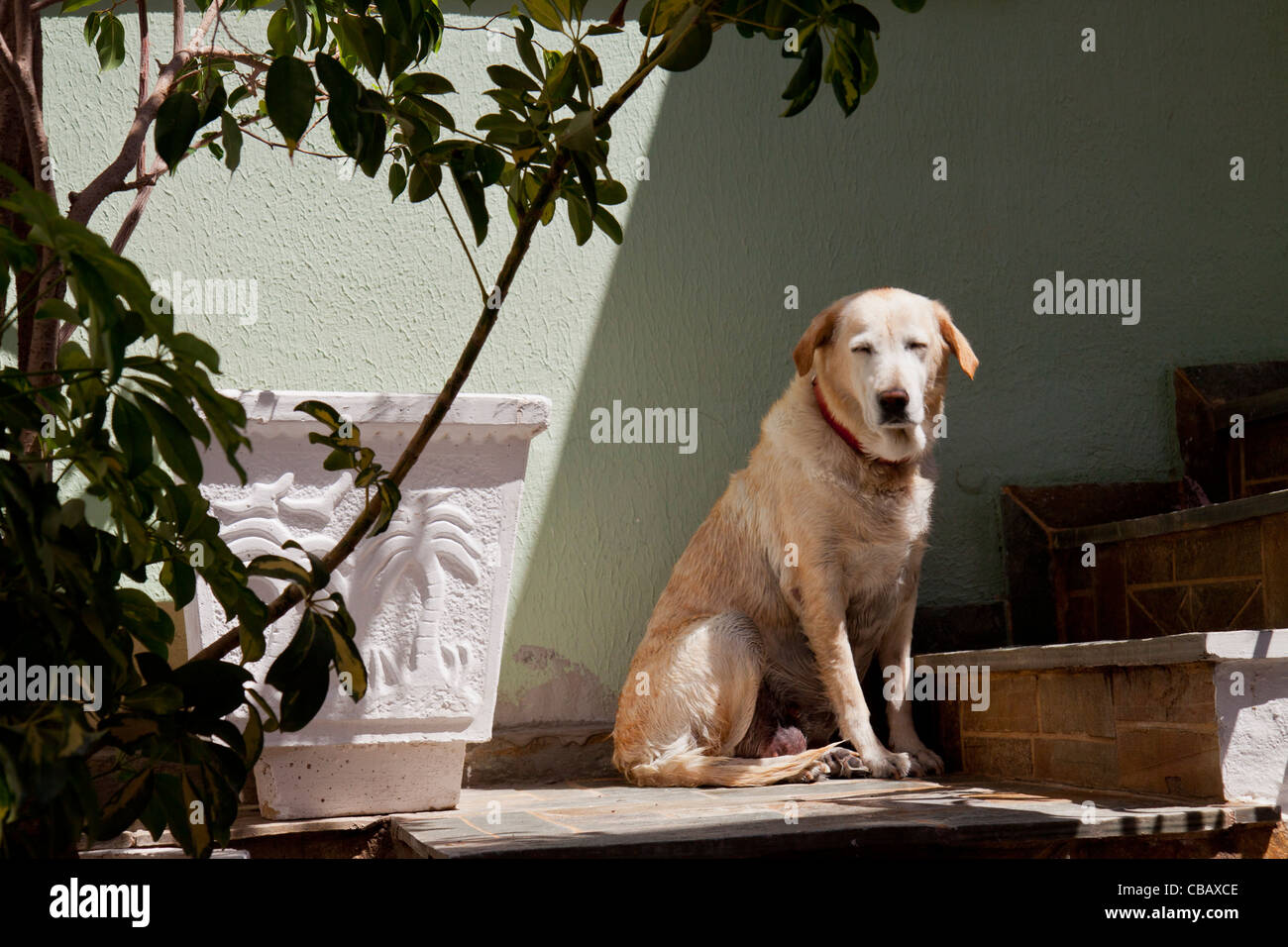 Perdika parga hi-res stock photography and images - Alamy