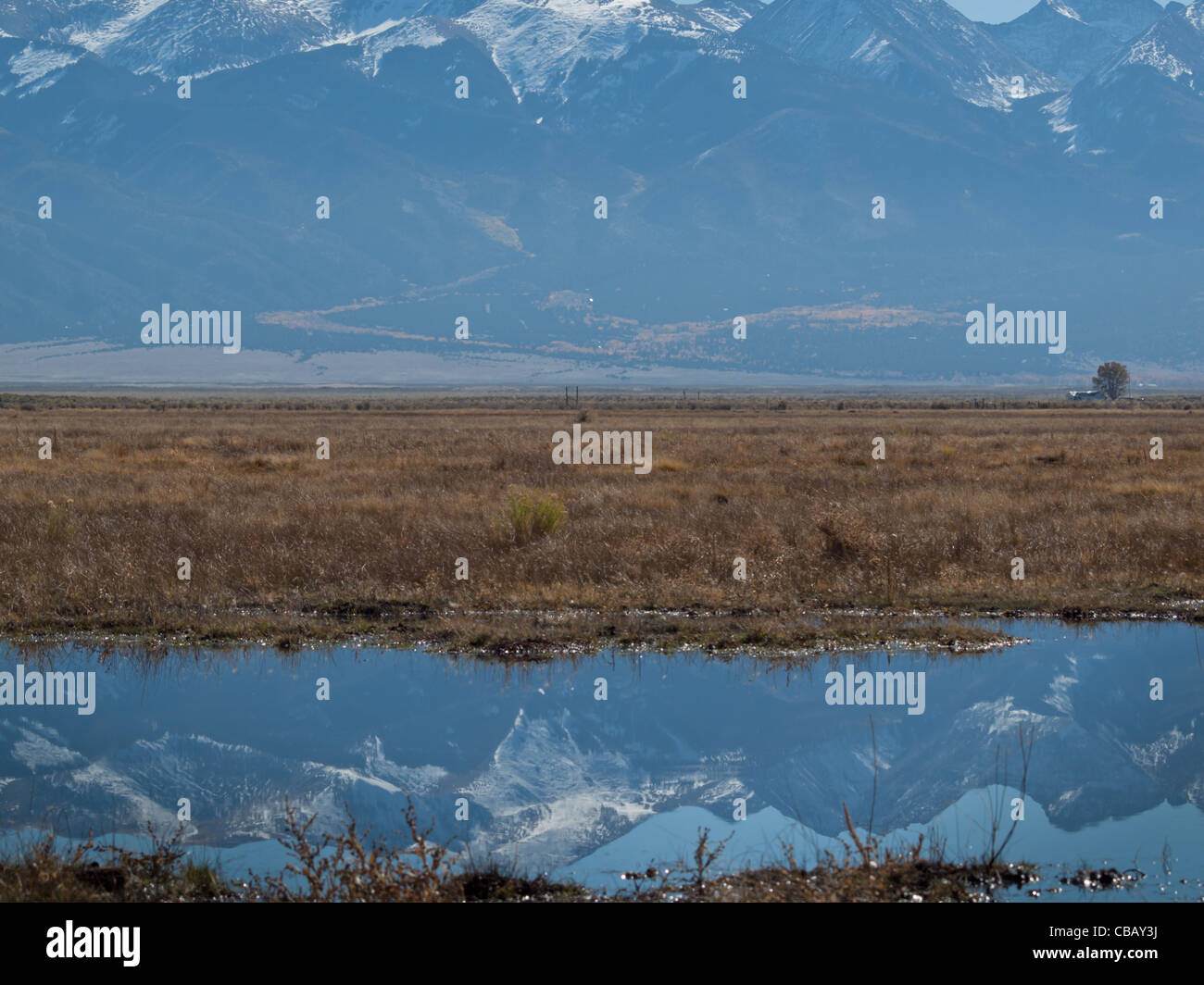 Zapara hi-res stock photography and images - Alamy