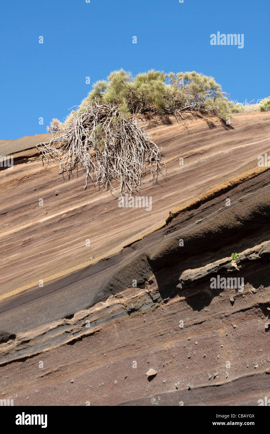 The curva de la tarta in tenerife showing different strata of coloured layers in the volcanic ...