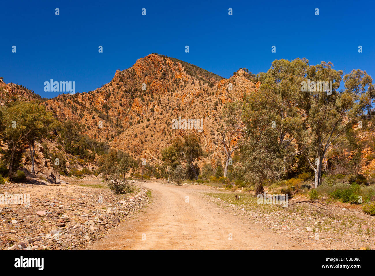 Brachina Creek in Brachina Gorge in the Flinders Ranges in outback ...