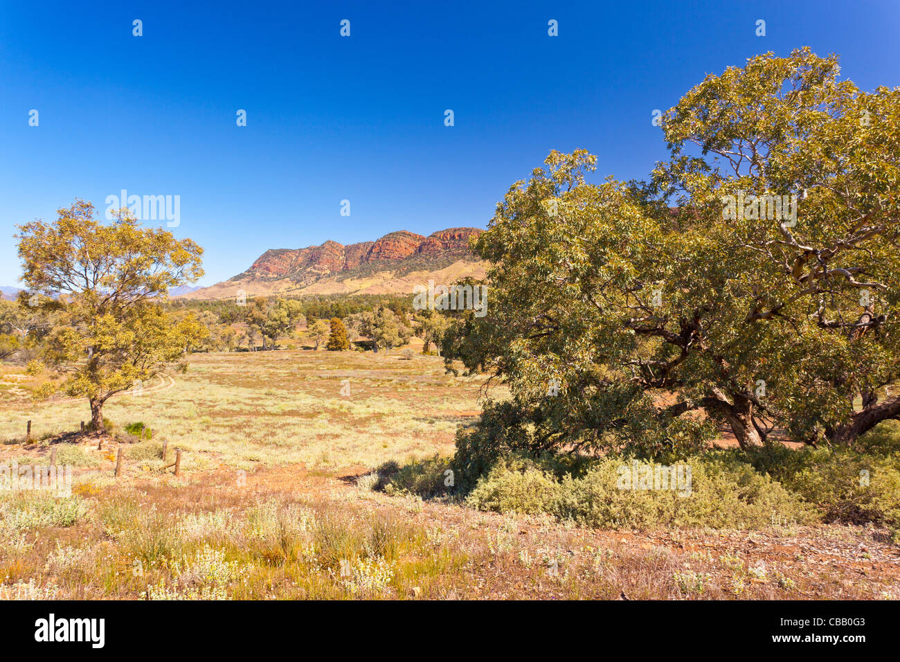 View of the Heysen Range from the ruins of Aroona Homestead in Flinders ...