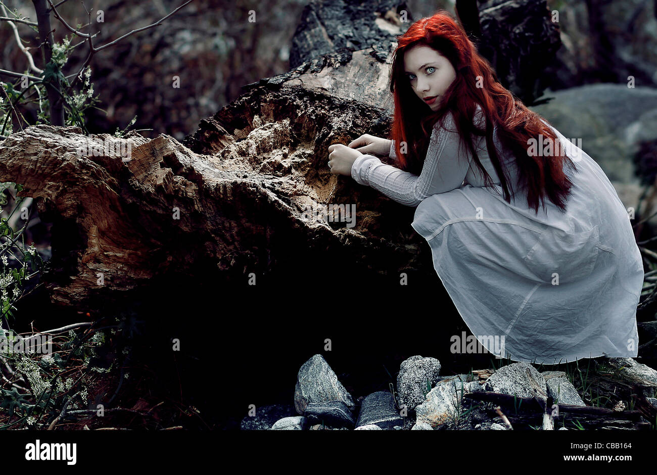 A girl in a white dress next to a fallen tree trunk outdoors Stock ...