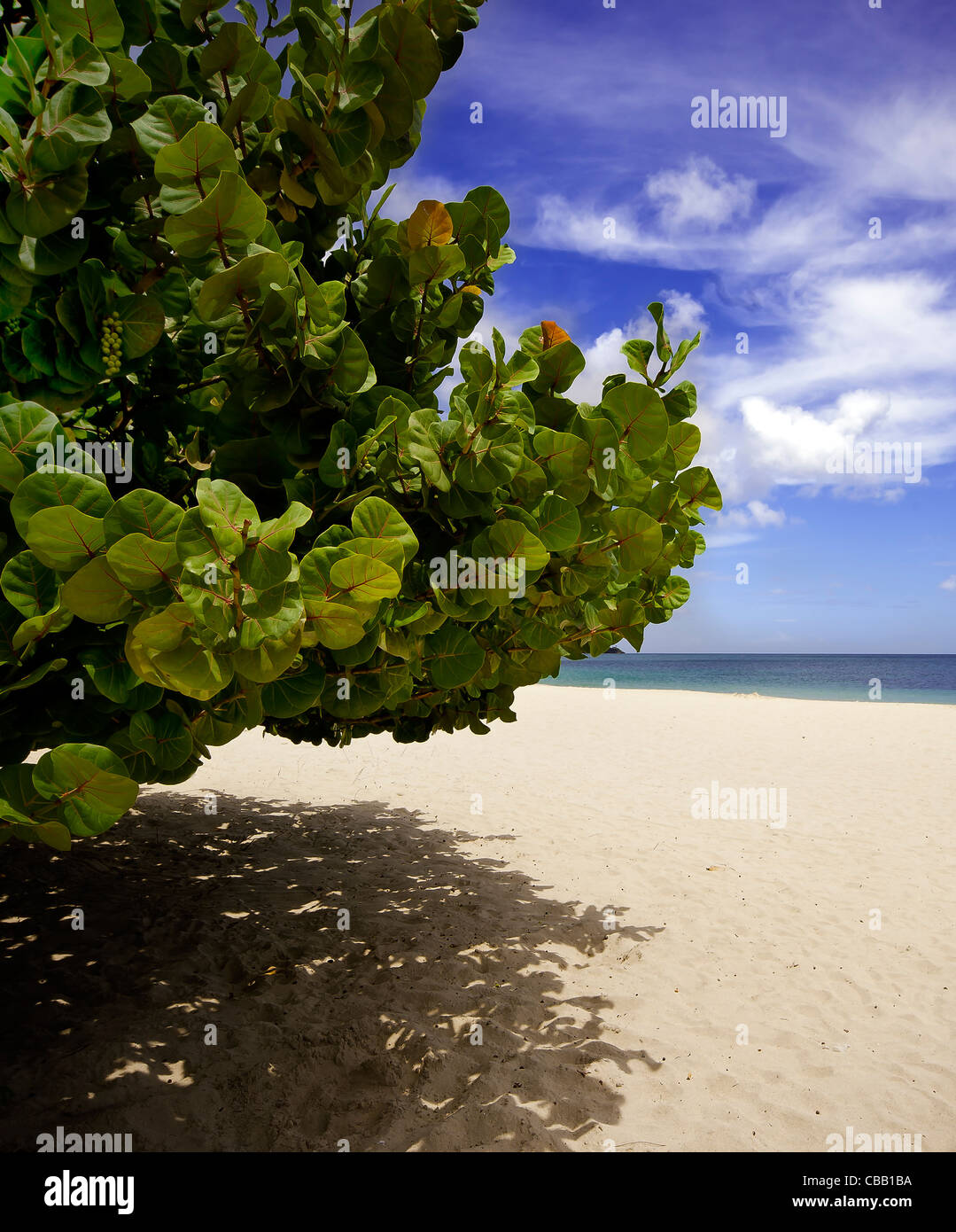 Idyllic Beach Scene Stock Photo - Alamy