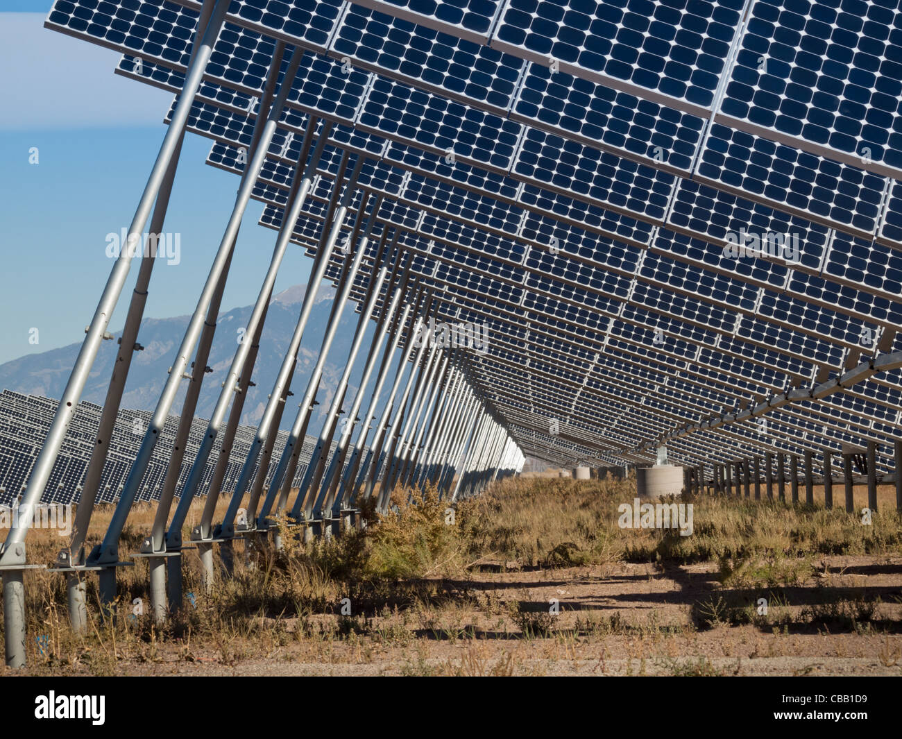 A series of large solar panels forms a symmetrical line at a power ...