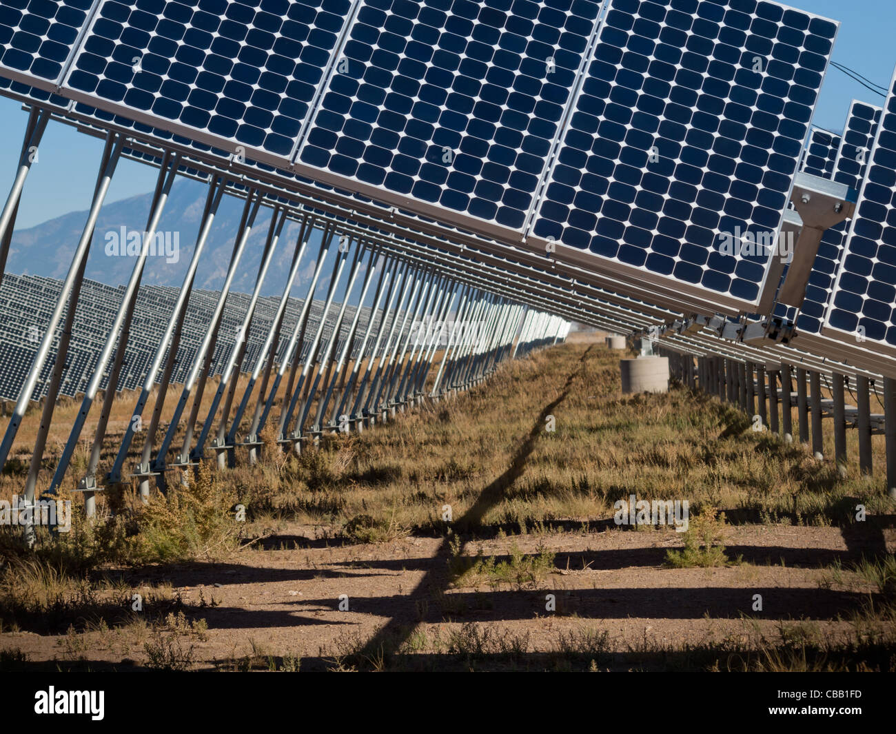 A series of large solar panels forms a symmetrical line at a power ...