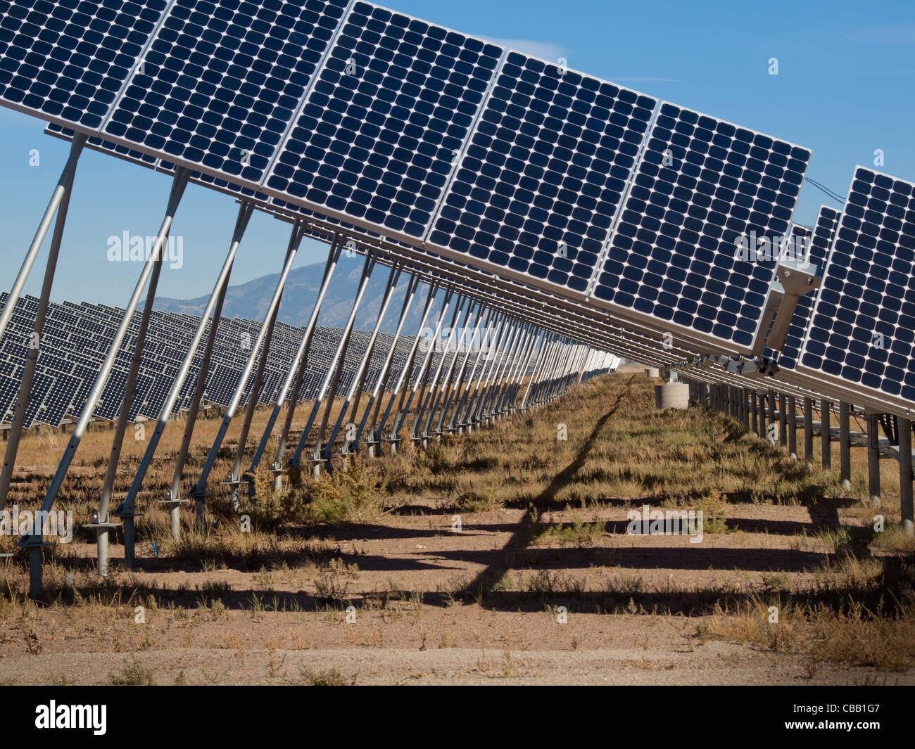 A series of large solar panels forms a symmetrical line at a power ...
