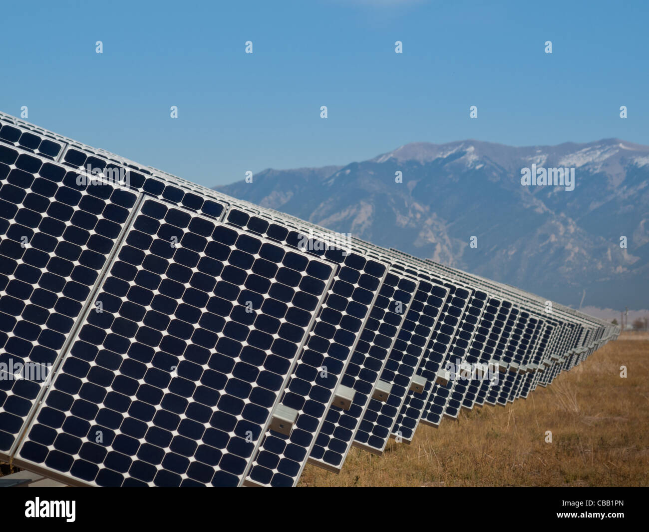 A series of large solar panels forms a symmetrical line at a power ...