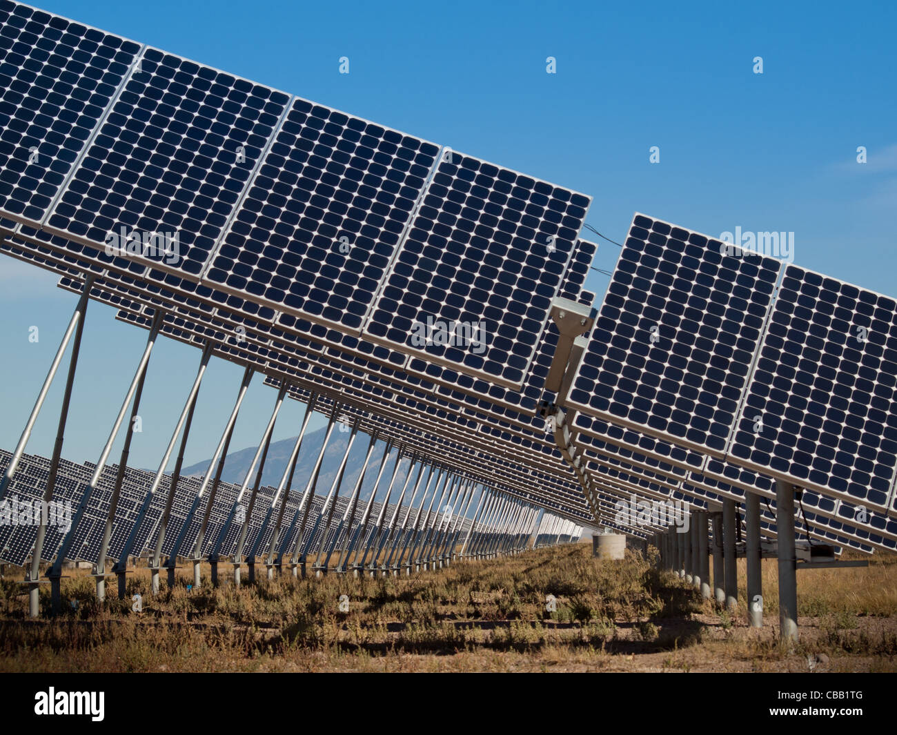 A series of large solar panels forms a symmetrical line at a power ...