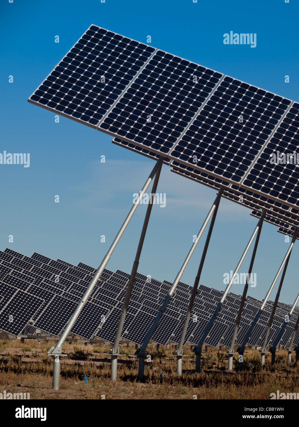 A series of large solar panels forms a symmetrical line at a power ...