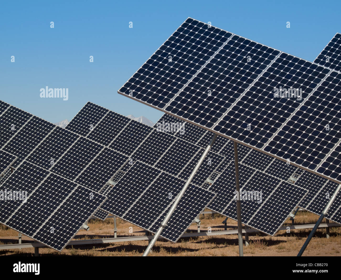 A series of large solar panels forms a symmetrical line at a power ...