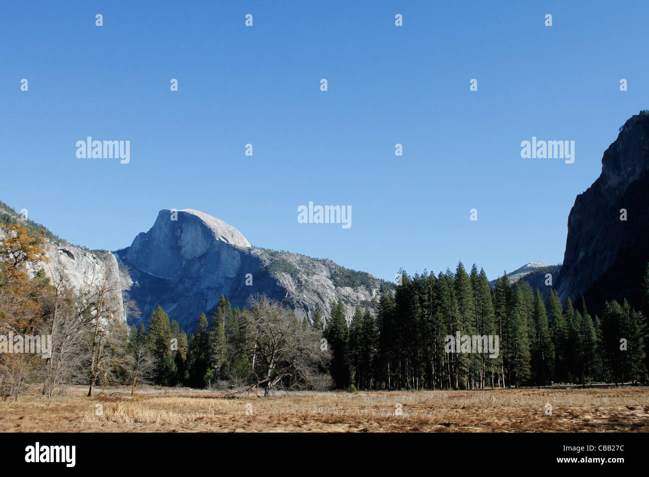 Yosemite landscape showing the Half Dome rock formation Stock Photo - Alamy