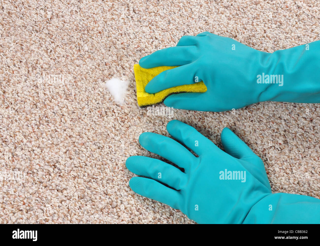 Cleaning carpet with sponge and gloves Stock Photo - Alamy