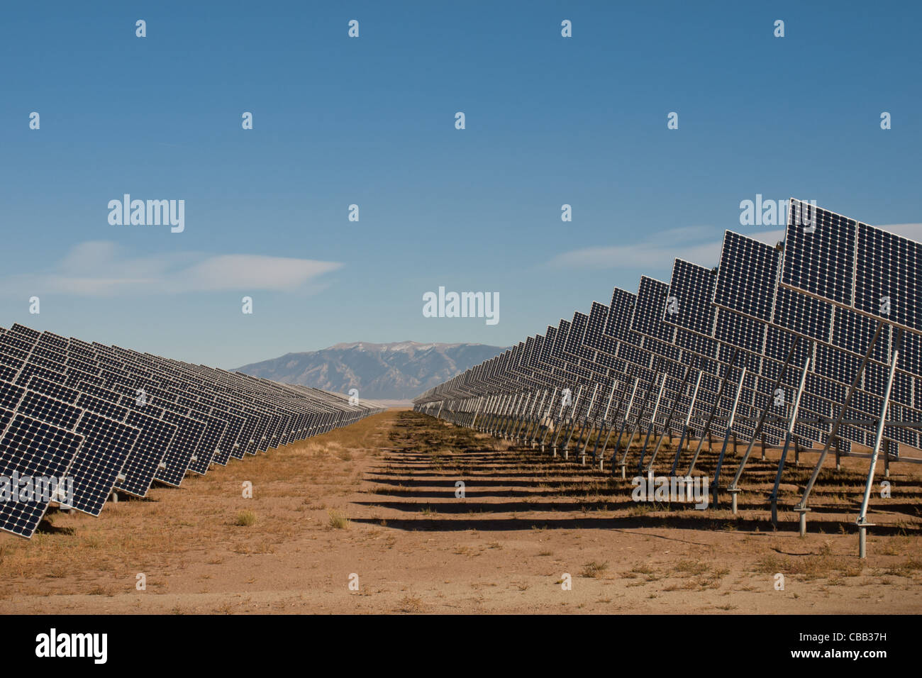 A series of large solar panels forms a symmetrical line at a power ...