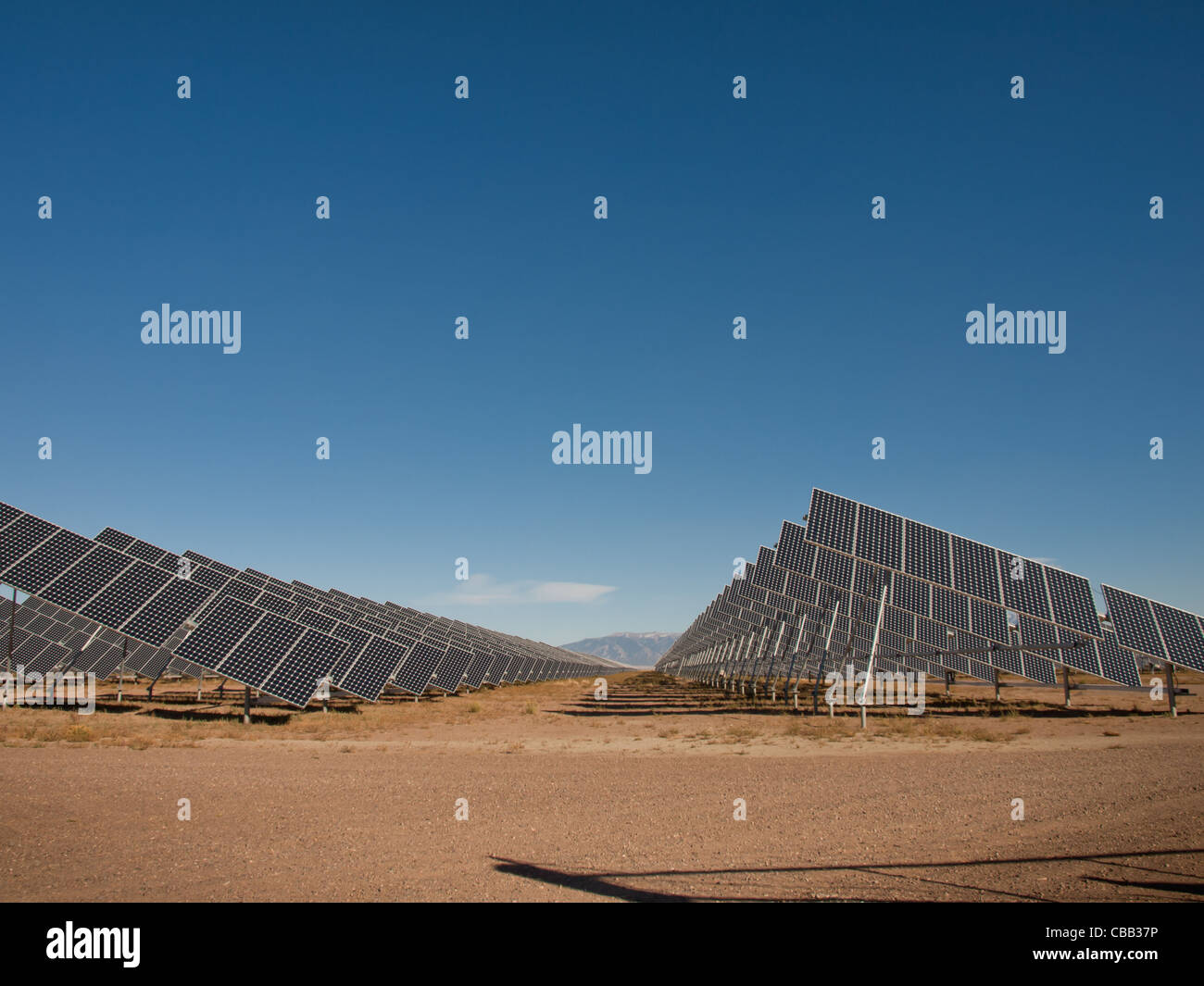 A series of large solar panels forms a symmetrical line at a power ...