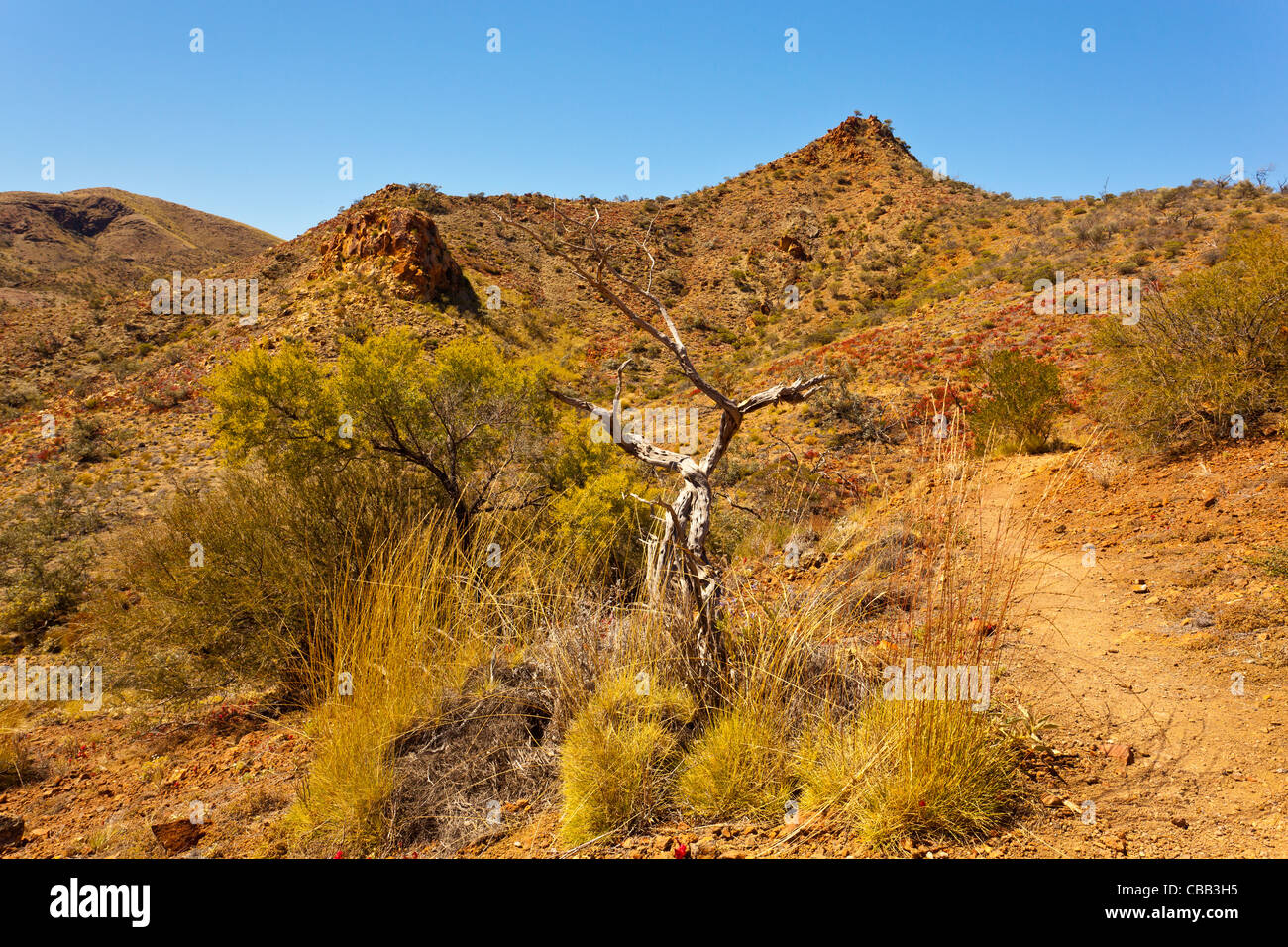The Pinnacles in Arkaroola Wilderness Reserve in the northern Flinders ...
