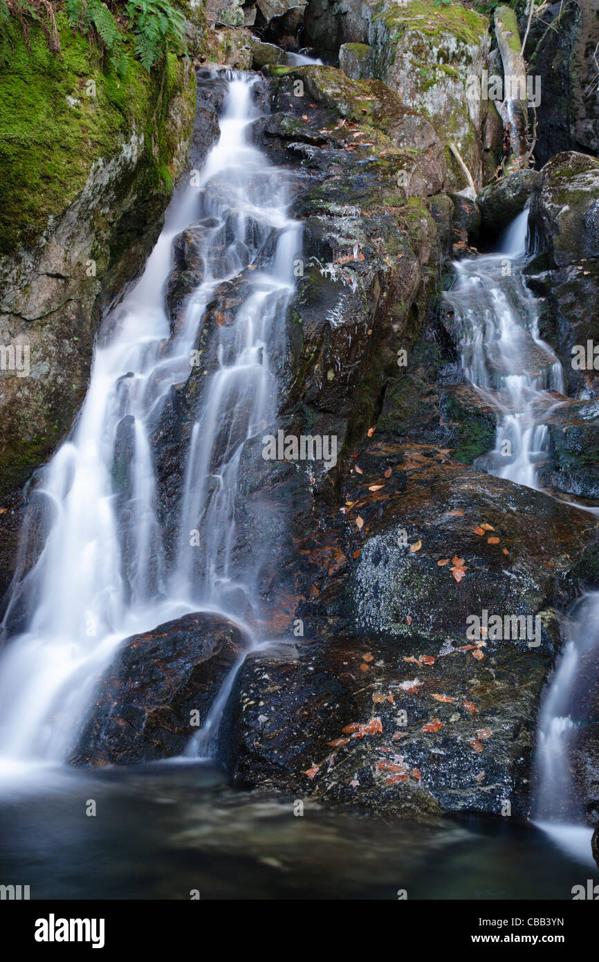 New proteus hi-res stock photography and images - Alamy