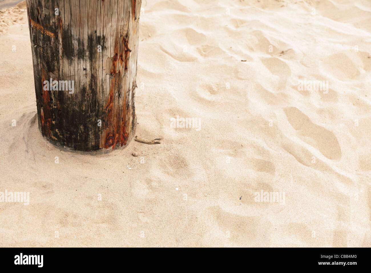 rows of piles on the sea beach - outdoor Stock Photo - Alamy