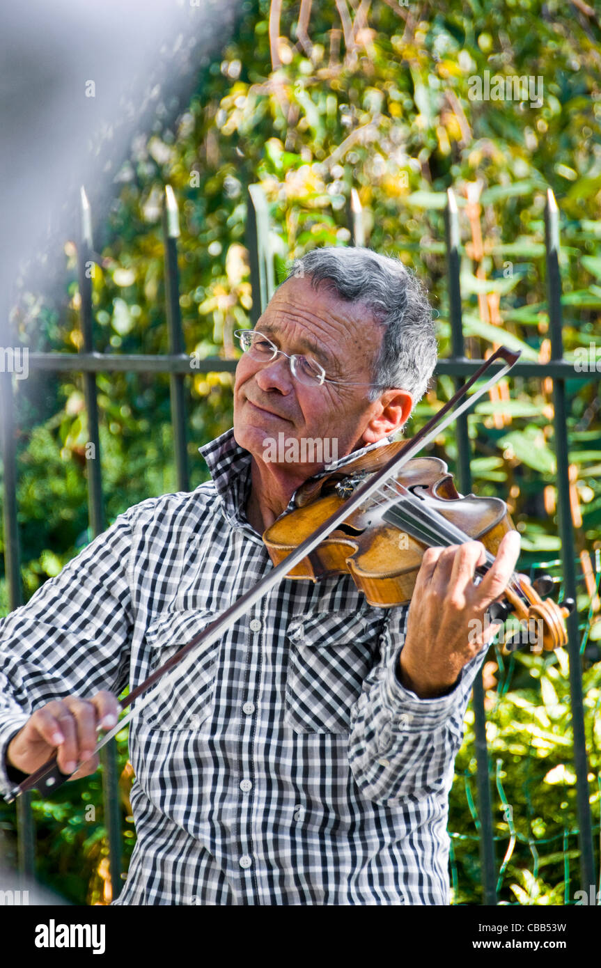 man playing violin Stock Photo - Alamy