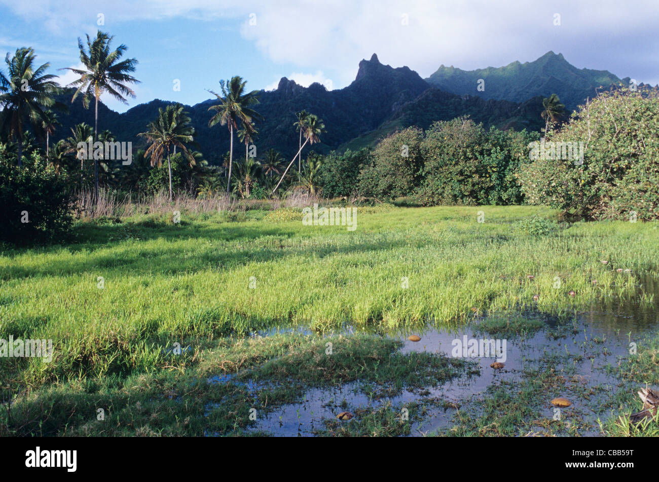 Cook Islands, Kūki 'Āirani, South Pacific Ocean, Rarotonga scenic view ...