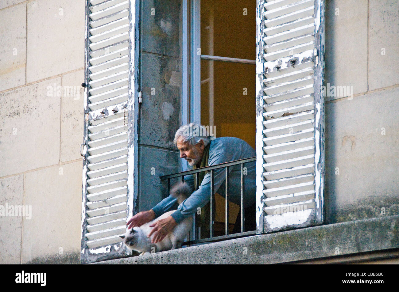 French man older catching cat Stock Photo - Alamy