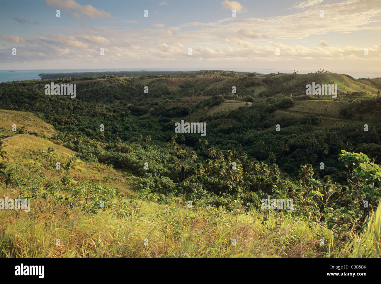 Kuki airani hi-res stock photography and images - Alamy