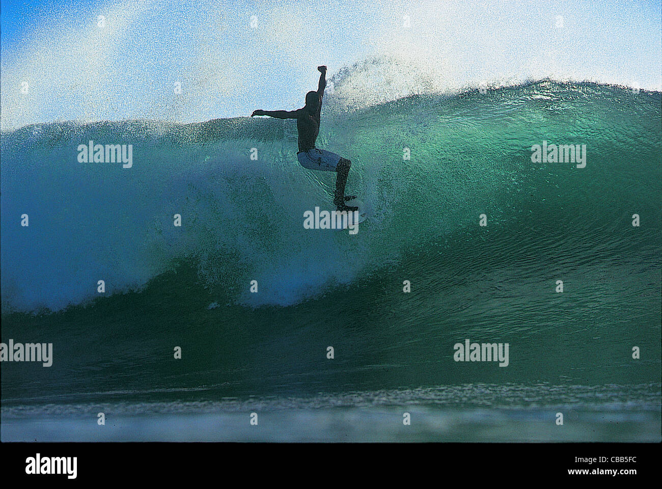 Surfing a big wave. Grajagan Bay, Alas Purwo National Park, East Java ...