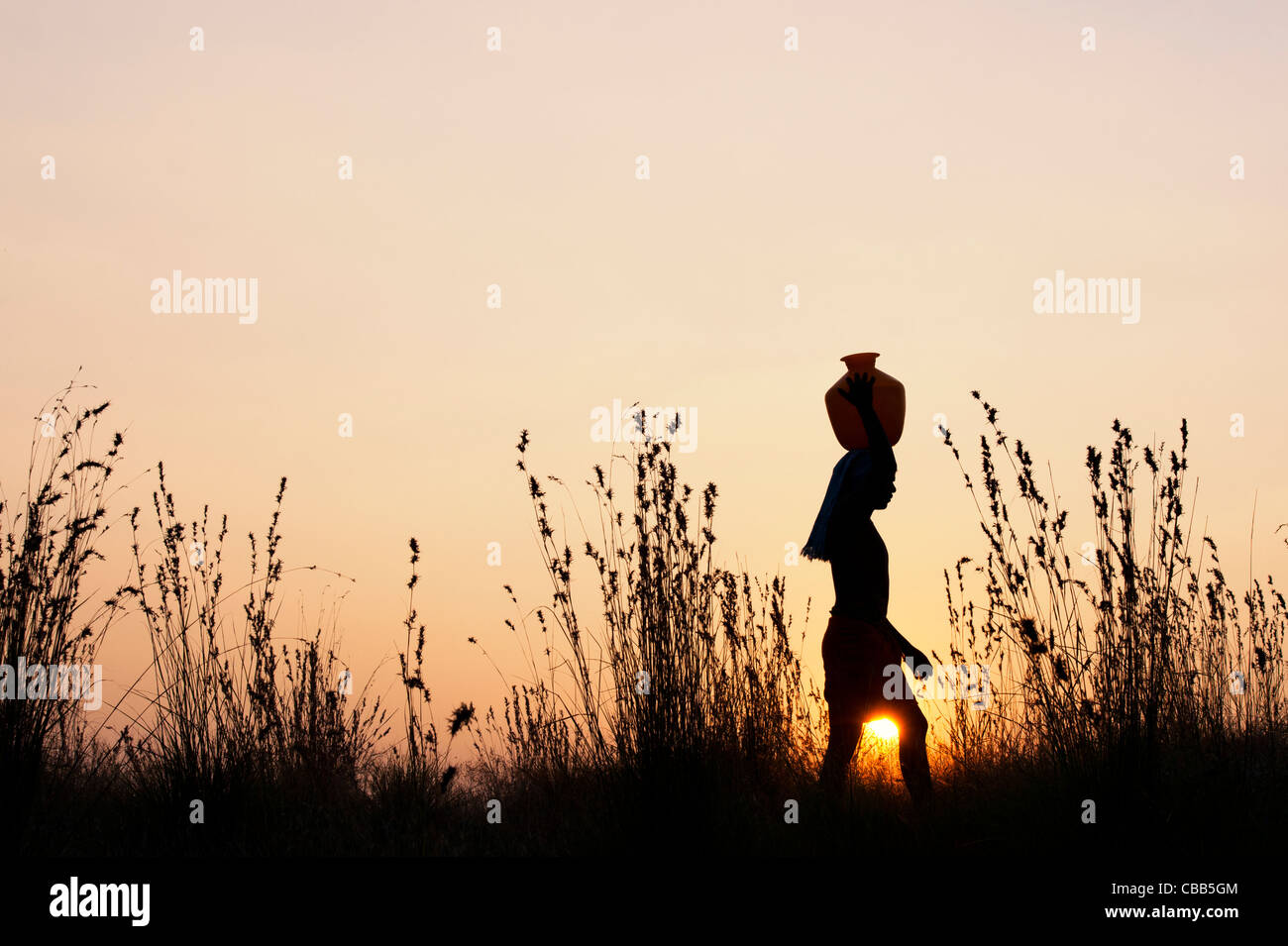 indian man walking at sunset carrying a water pot on this head in the ...