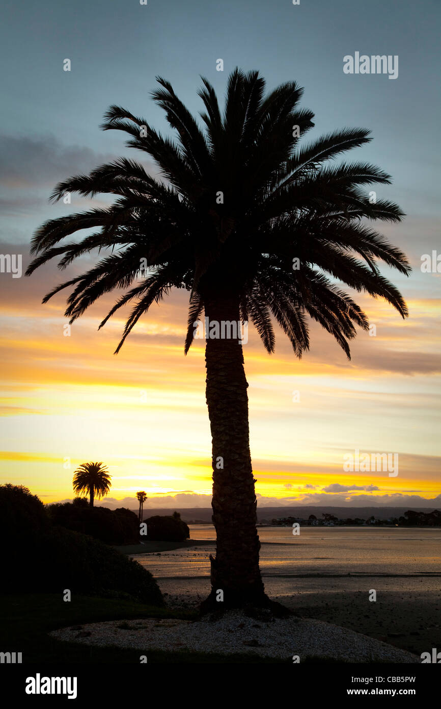 Nelson south island new zealand hi-res stock photography and images - Alamy