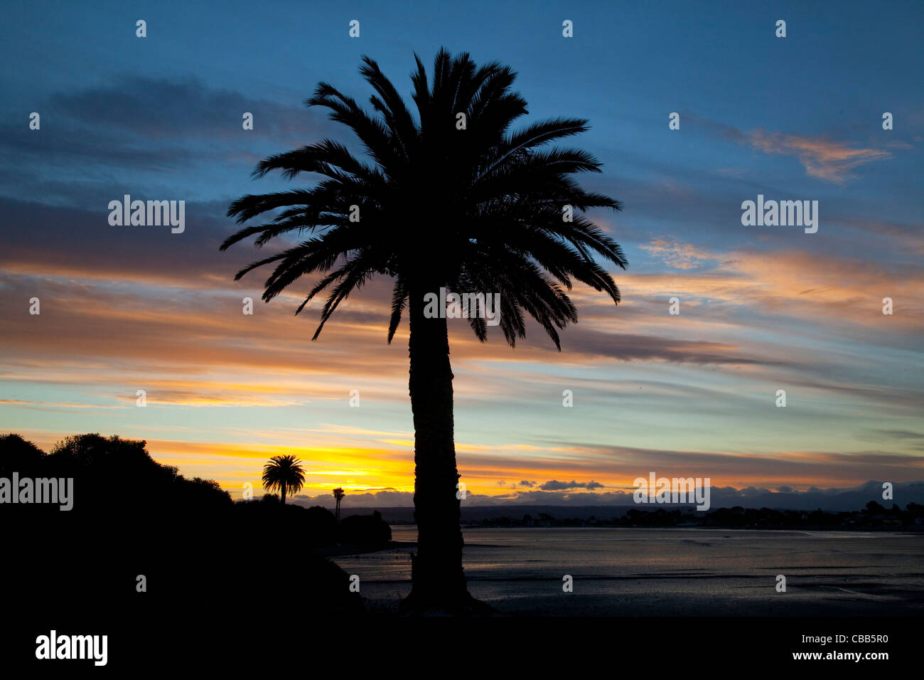 Sunset, Nelson, South Island, New Zealand Stock Photo - Alamy