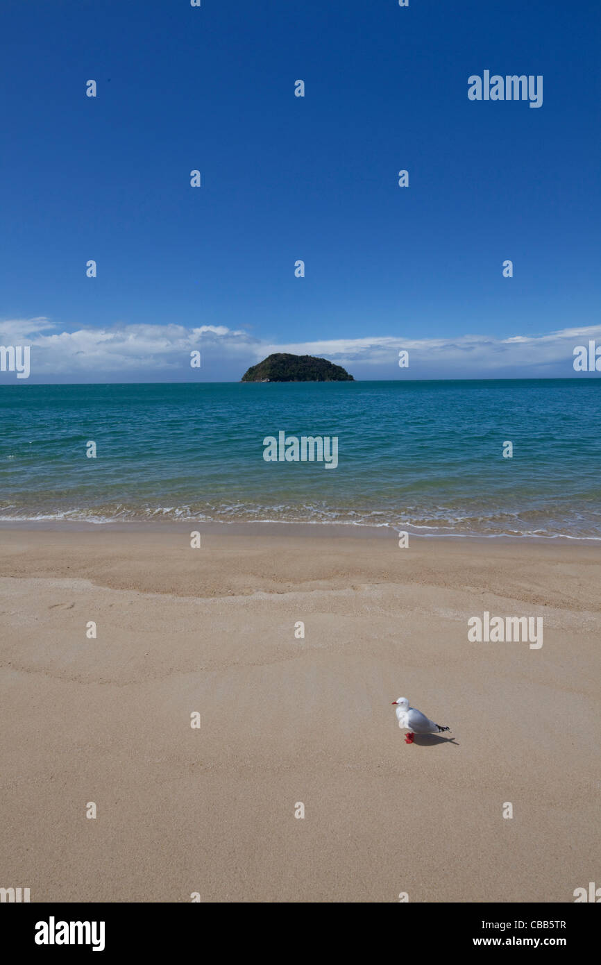 Tonga quarry beach hi-res stock photography and images - Alamy