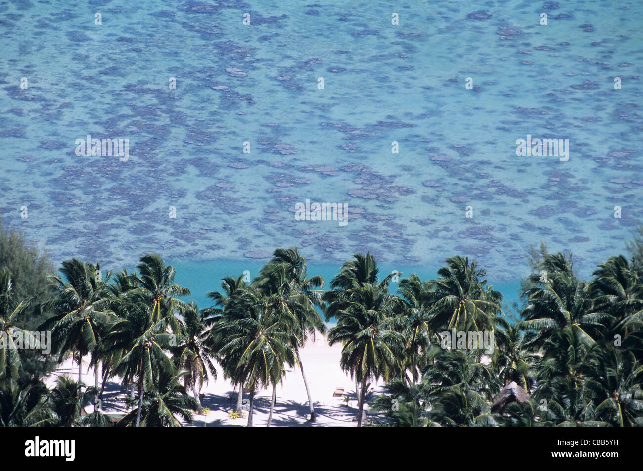 Cook; Islands; Kūki 'Āirani; maori; atolls; Pacific; south; coral ...