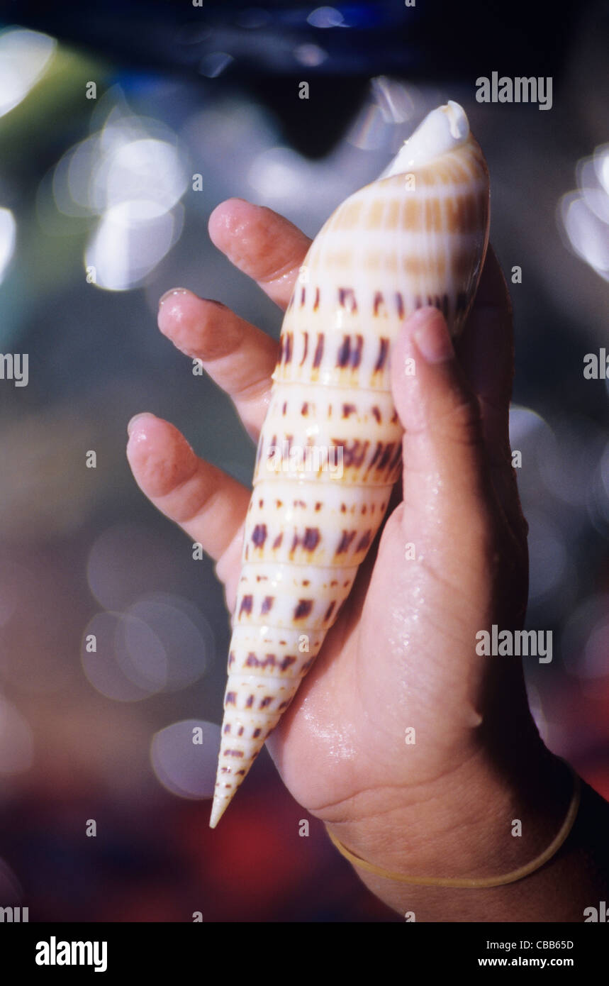 Diver cook hi-res stock photography and images - Alamy