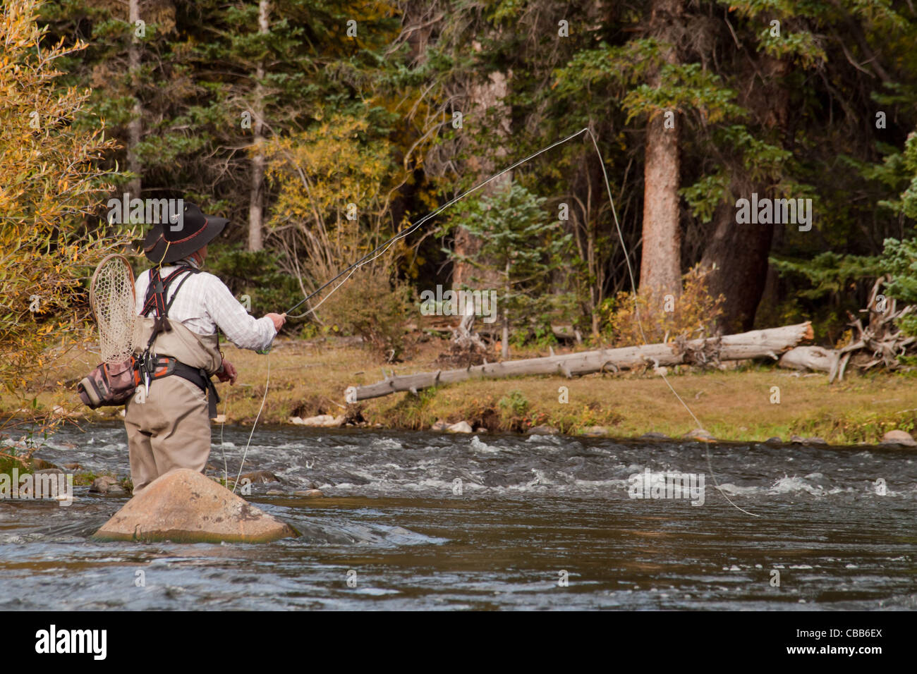 Taylor river colorado hi-res stock photography and images - Alamy