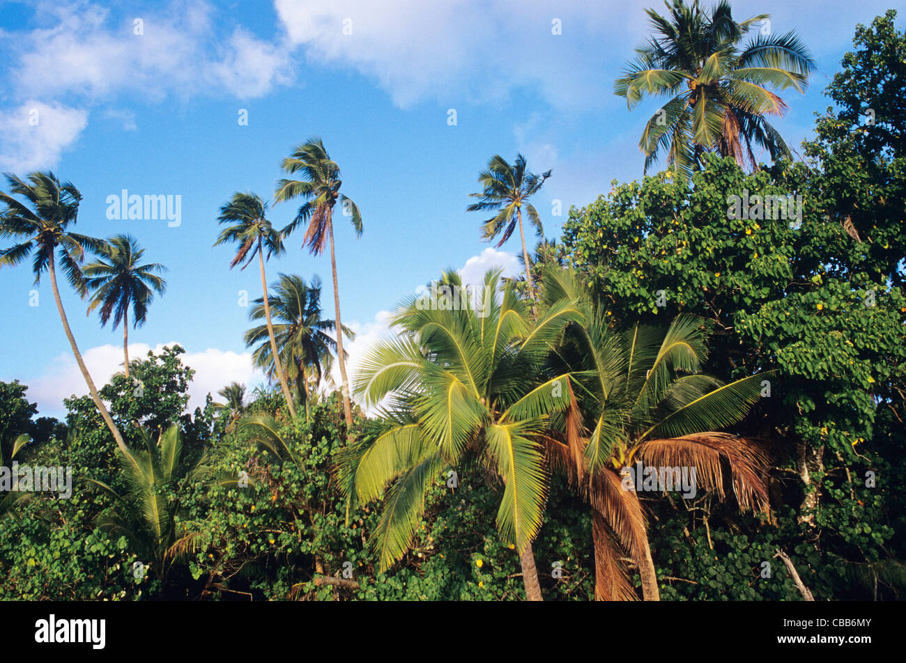 Cook Islands, Kūki 'Āirani, South Pacific Ocean, Rarotonga, scenic ...