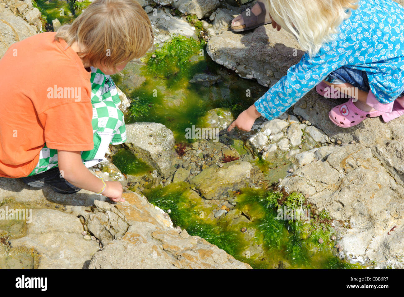 Searching Rock Pool High Resolution Stock Photography and Images - Alamy