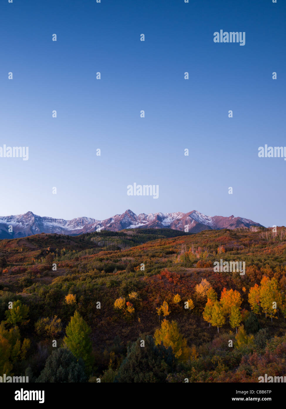 The Dallas Divide is a Colorado icon, well known for its vivid fall ...