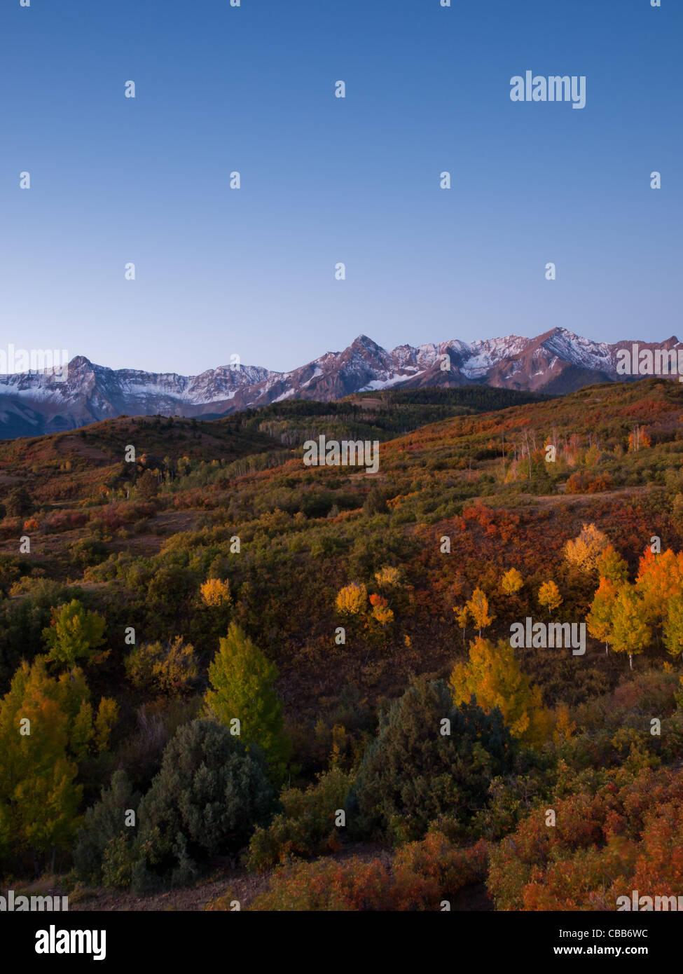 The Dallas Divide is a Colorado icon, well known for its vivid fall ...