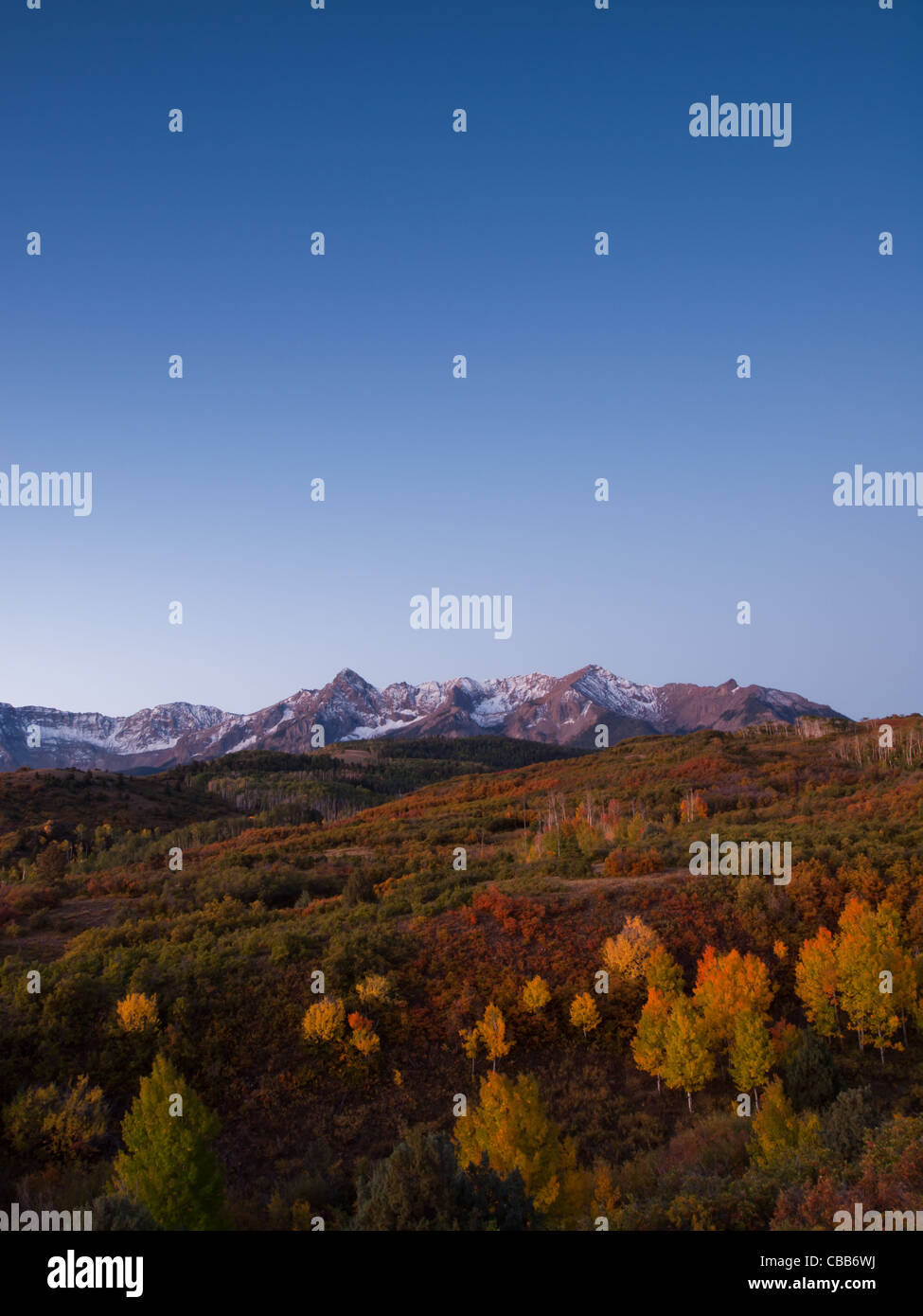 The Dallas Divide is a Colorado icon, well known for its vivid fall ...