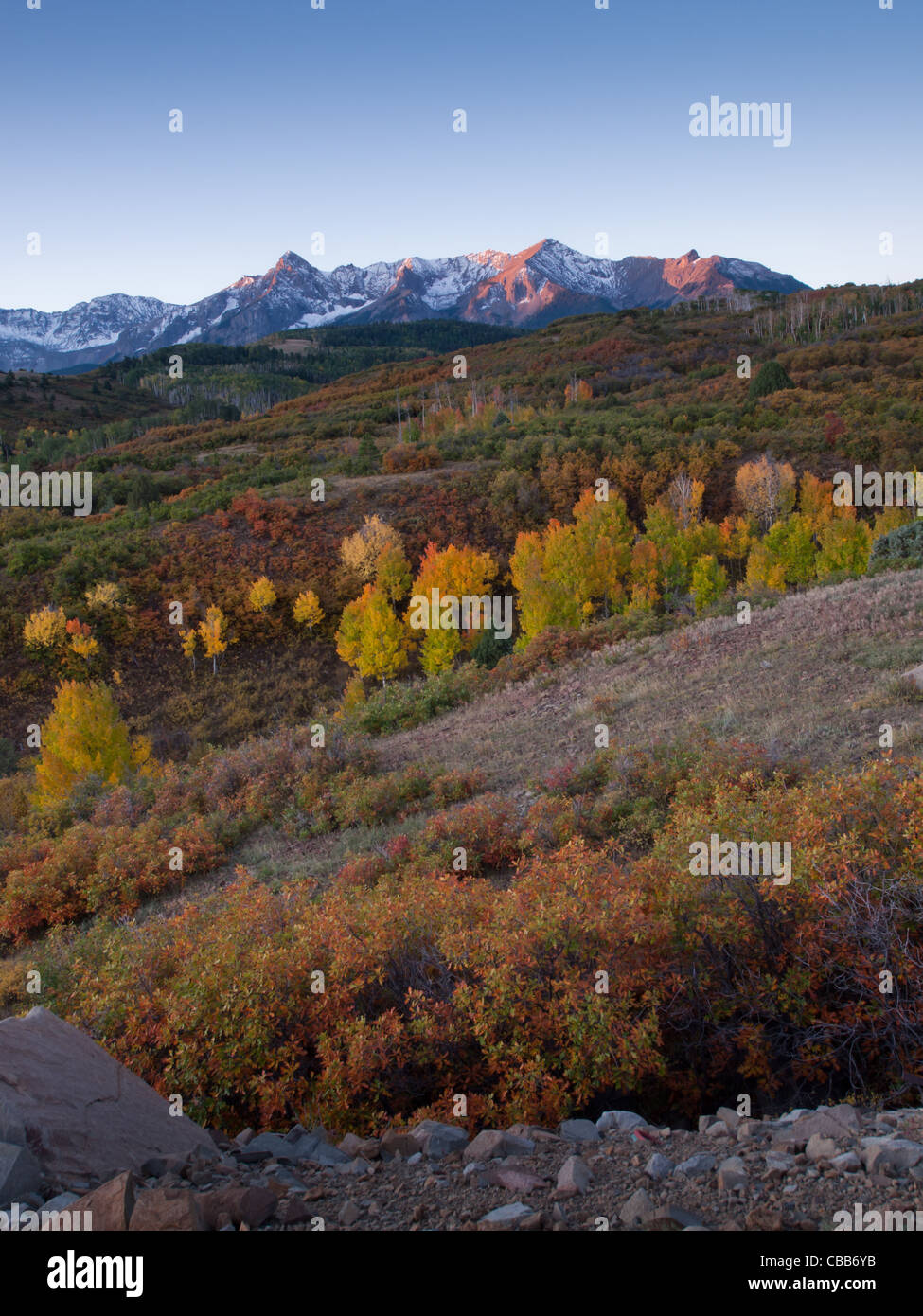 The Dallas Divide is a Colorado icon, well known for its vivid fall ...