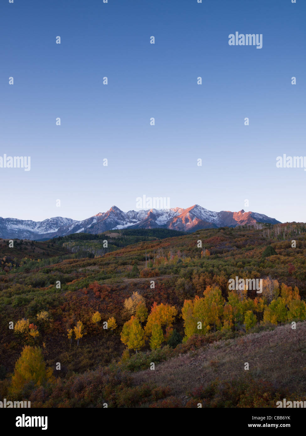 The Dallas Divide is a Colorado icon, well known for its vivid fall ...