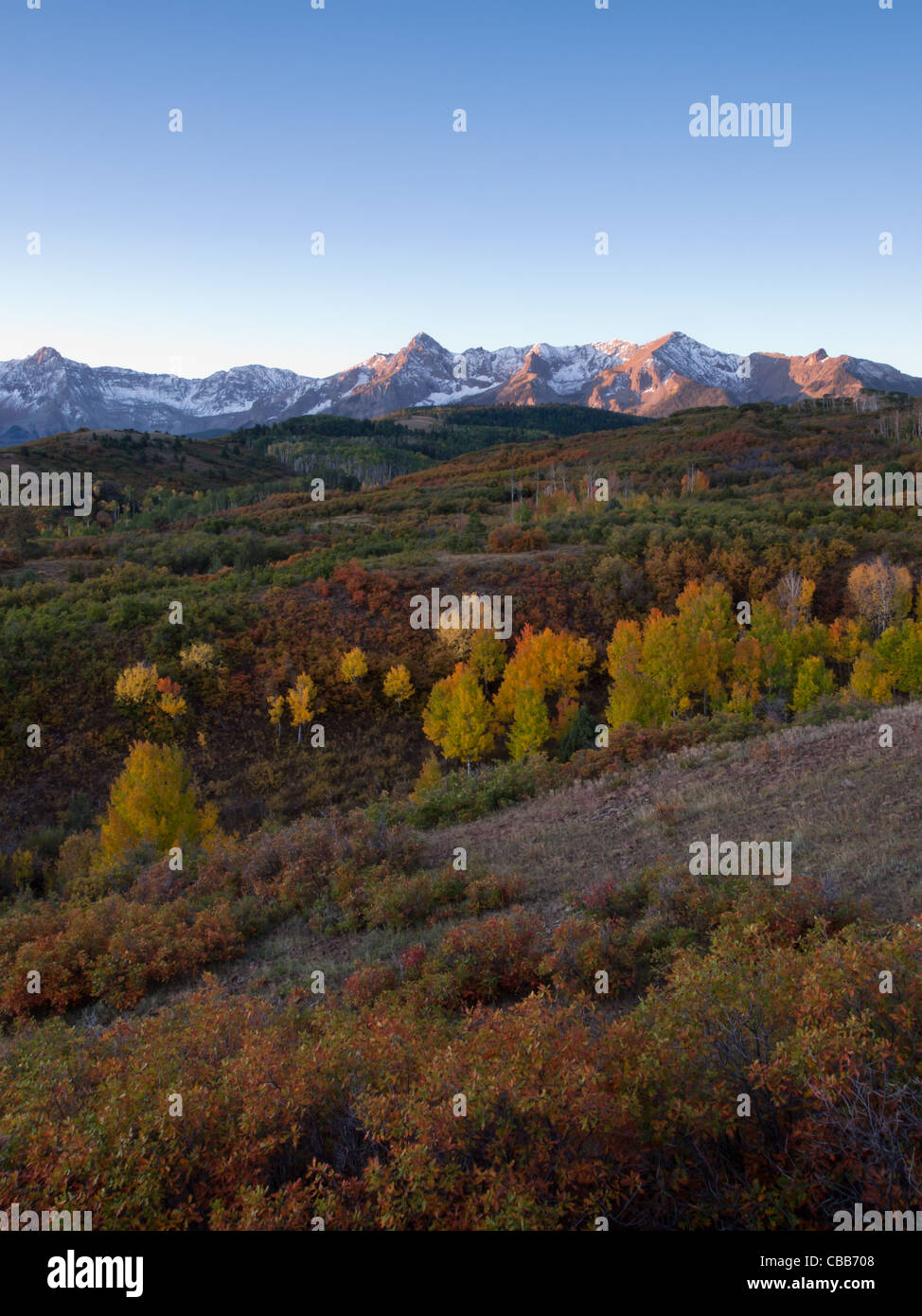 The Dallas Divide is a Colorado icon, well known for its vivid fall ...