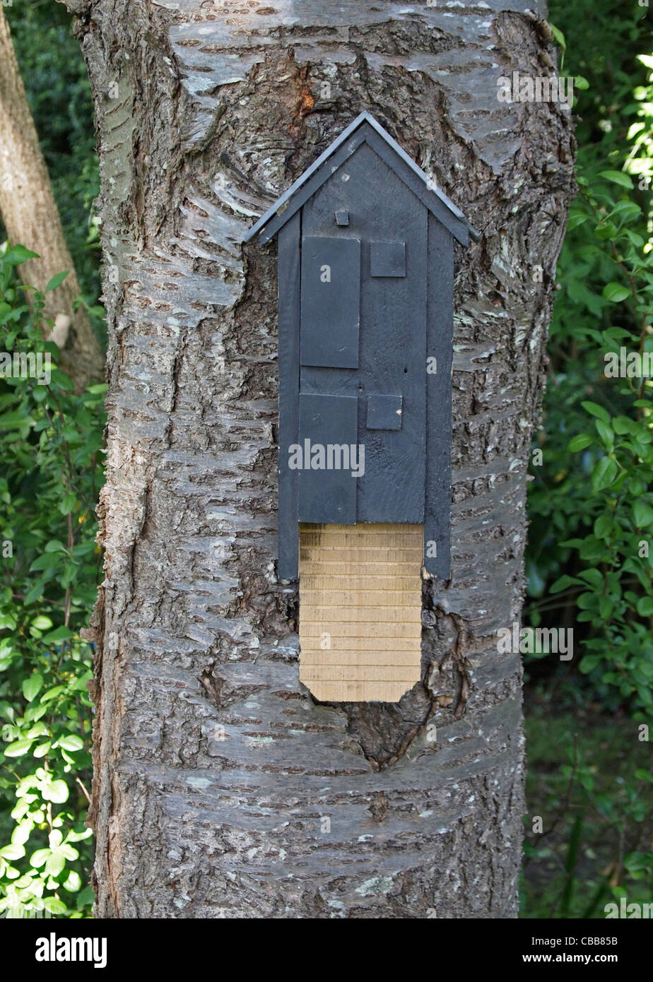 Birdbox birdboxes hi-res stock photography and images - Alamy