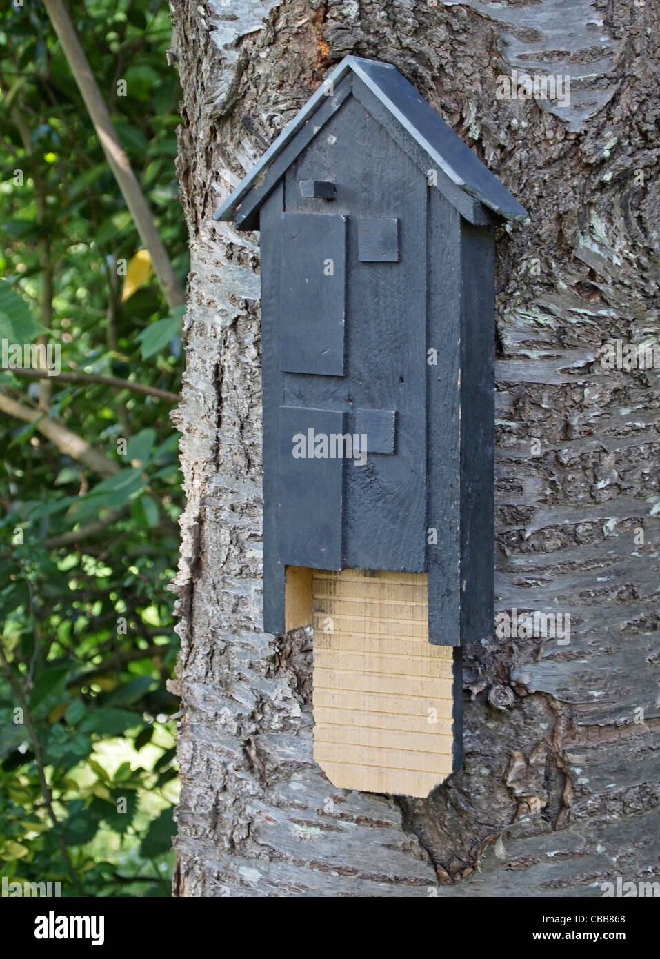 Bird nesting box Stock Photo - Alamy