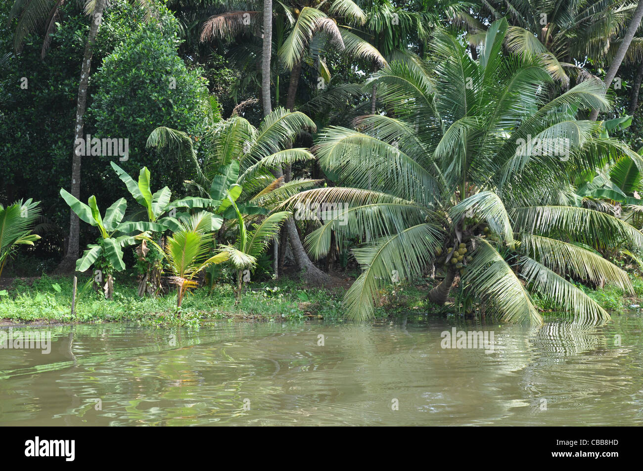 Kerala flood hi-res stock photography and images - Alamy