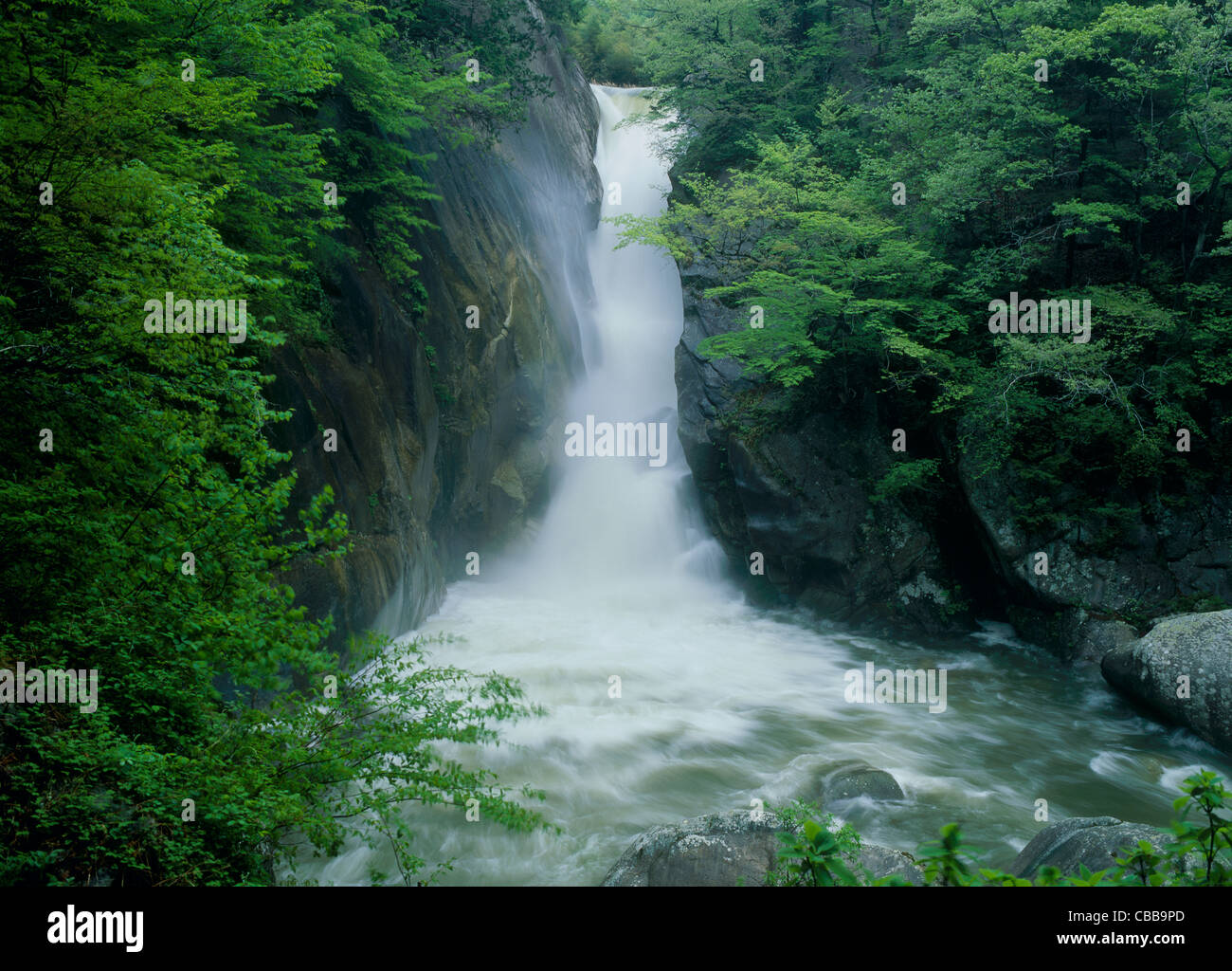 Senga Waterfall, Kofu, Yamanashi, Japan Stock Photo - Alamy