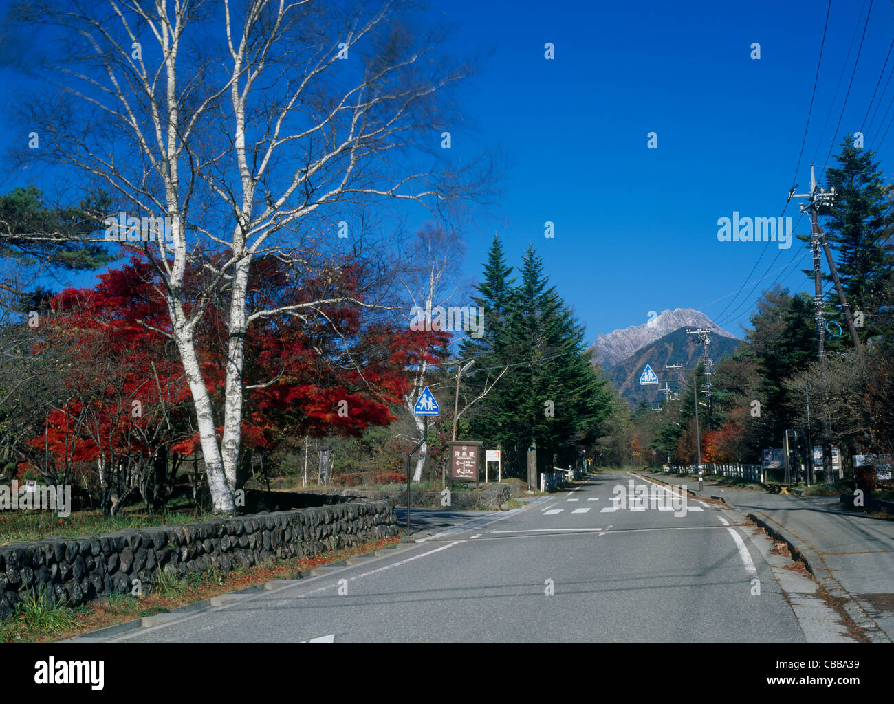 Kiyosato Highland, Hokuto, Yamanashi, Japan Stock Photo - Alamy